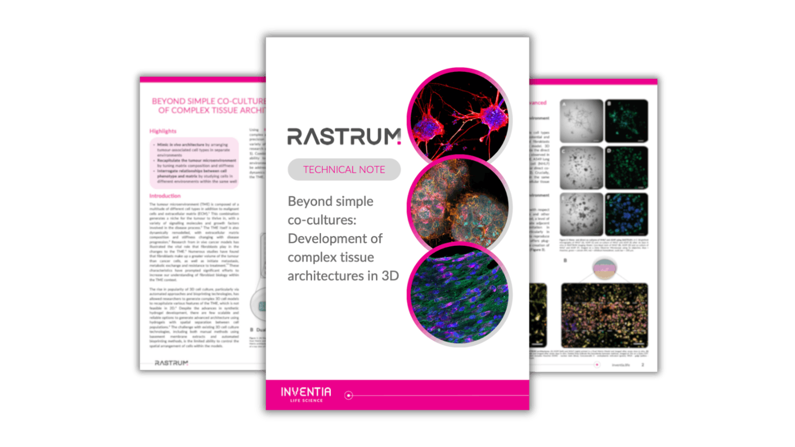 Development of complex tissue architectures in 3D- Application note Development of complex tissue architectures in 3D- Application note